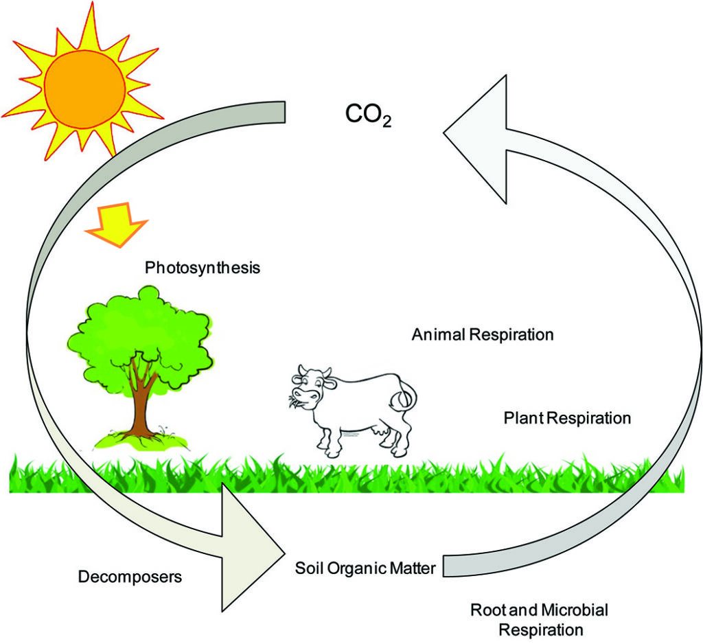 زغال زیستی بیوچار biochar - biokasht.com
